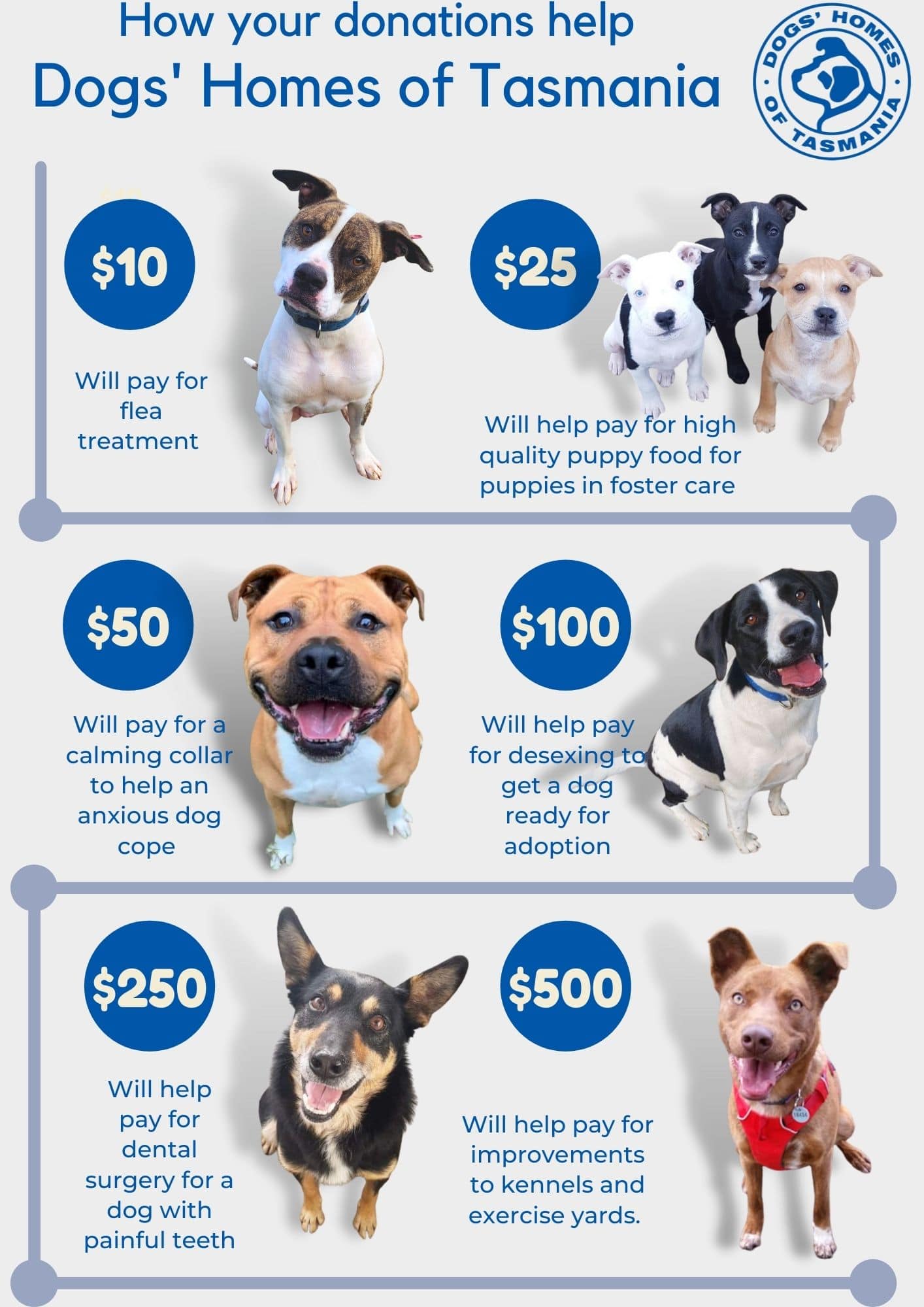Fundraising templates - Dogs' Homes of Tasmania