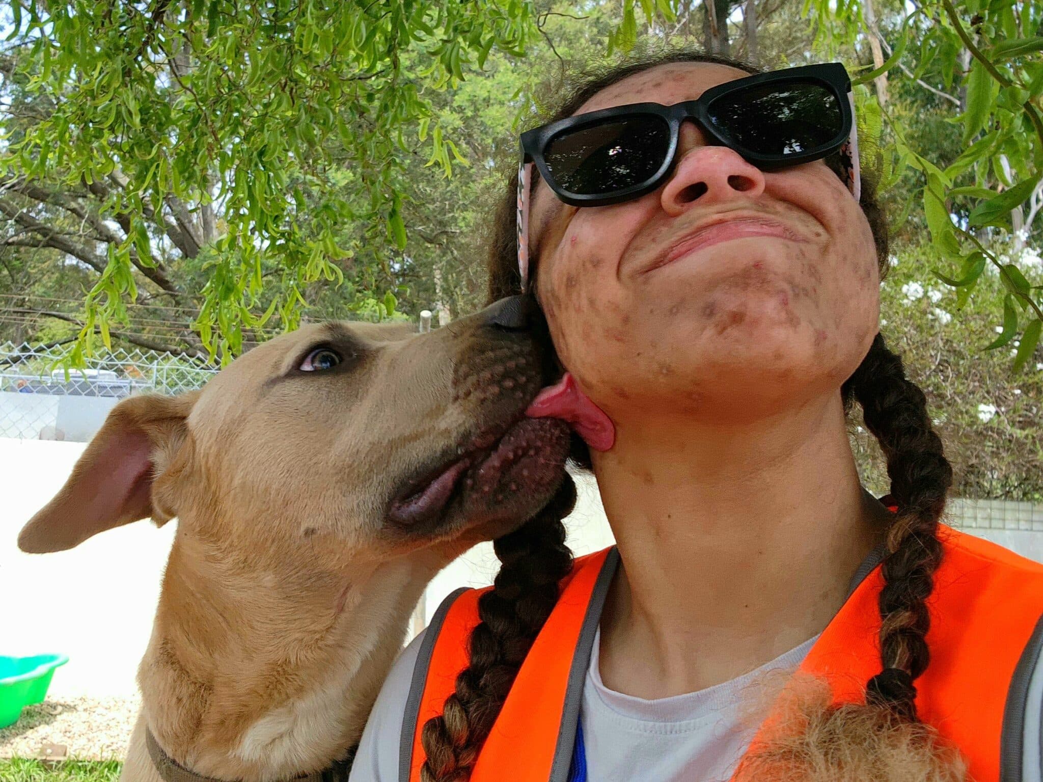 Tinisha gives northern dogs a taste of home - Dogs' Homes of Tasmania