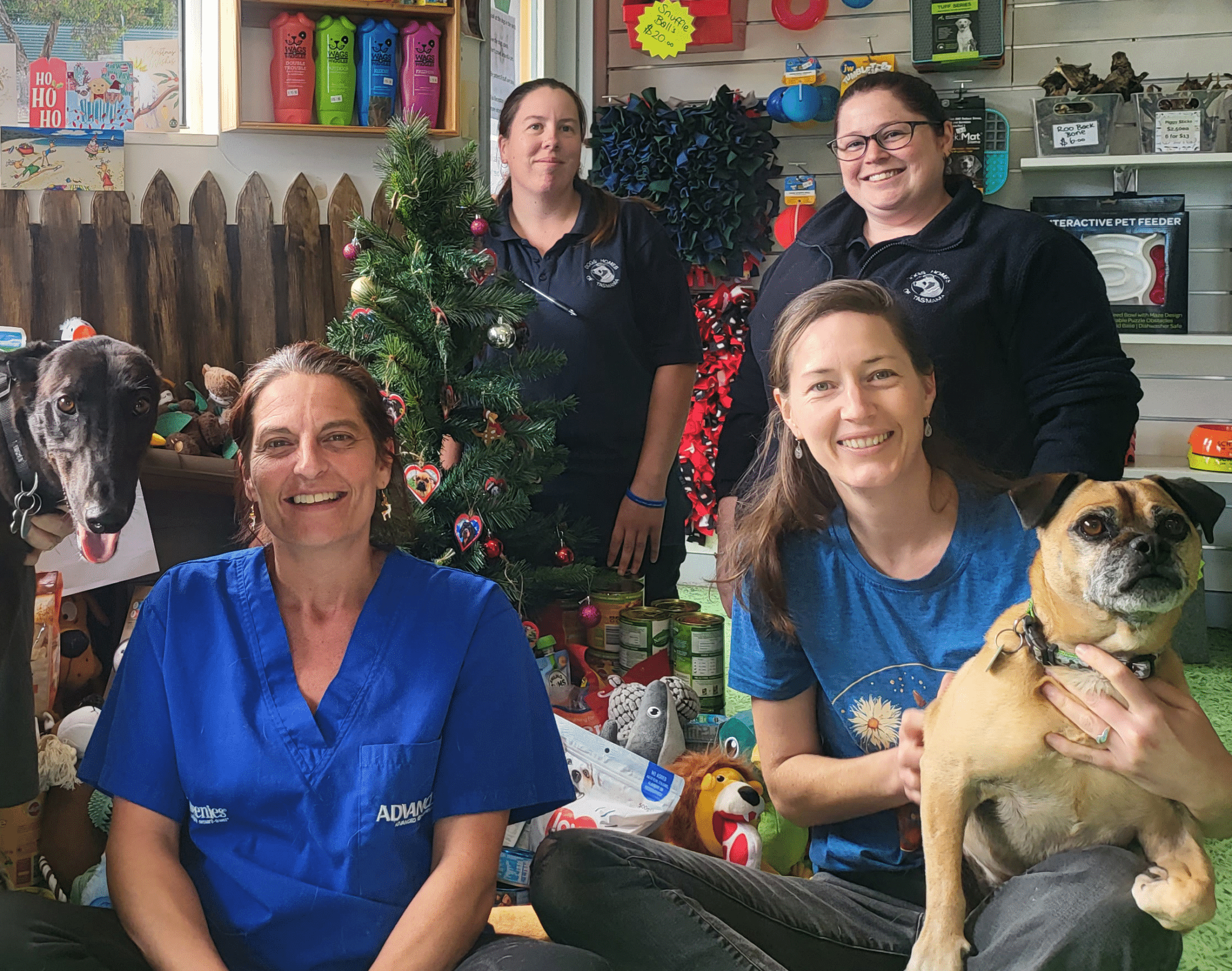 Christmas Giving Trees for the dogs - Dogs' Homes of Tasmania